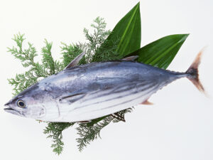 10月 – 食卓 – 大阪市中央卸売市場本場市場協会